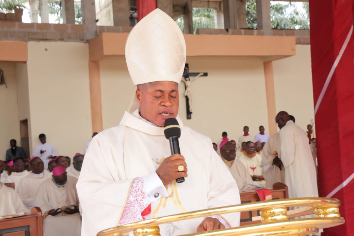 You Are A Project In Progress, Archbishop Okeke tells Cardinal Okpaleke ...