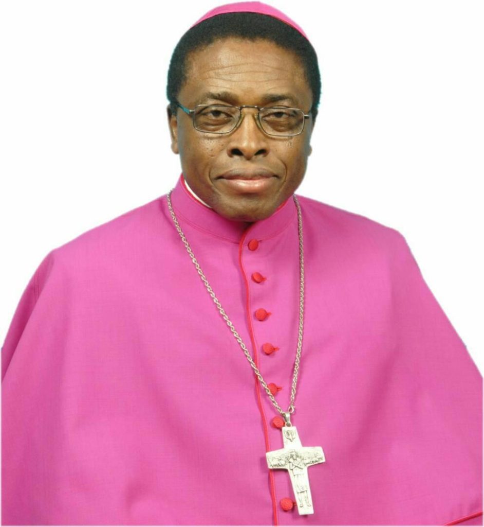Canonical Erection of the Catholic Diocese of Aguleri and installation ...