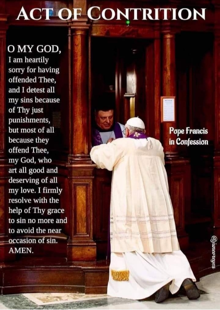 WHO IS A CATHOLIC PRIEST TO FORGIVE SINS? - NIGERIA CATHOLIC NETWORK